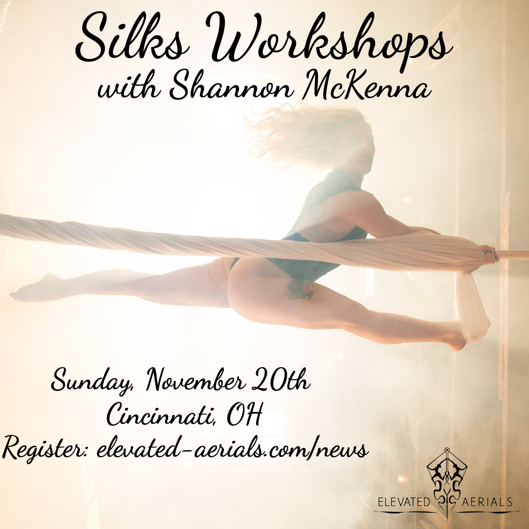 Shannon McKenna (The Artist Athlete) Workshops! - Elevated Aerials